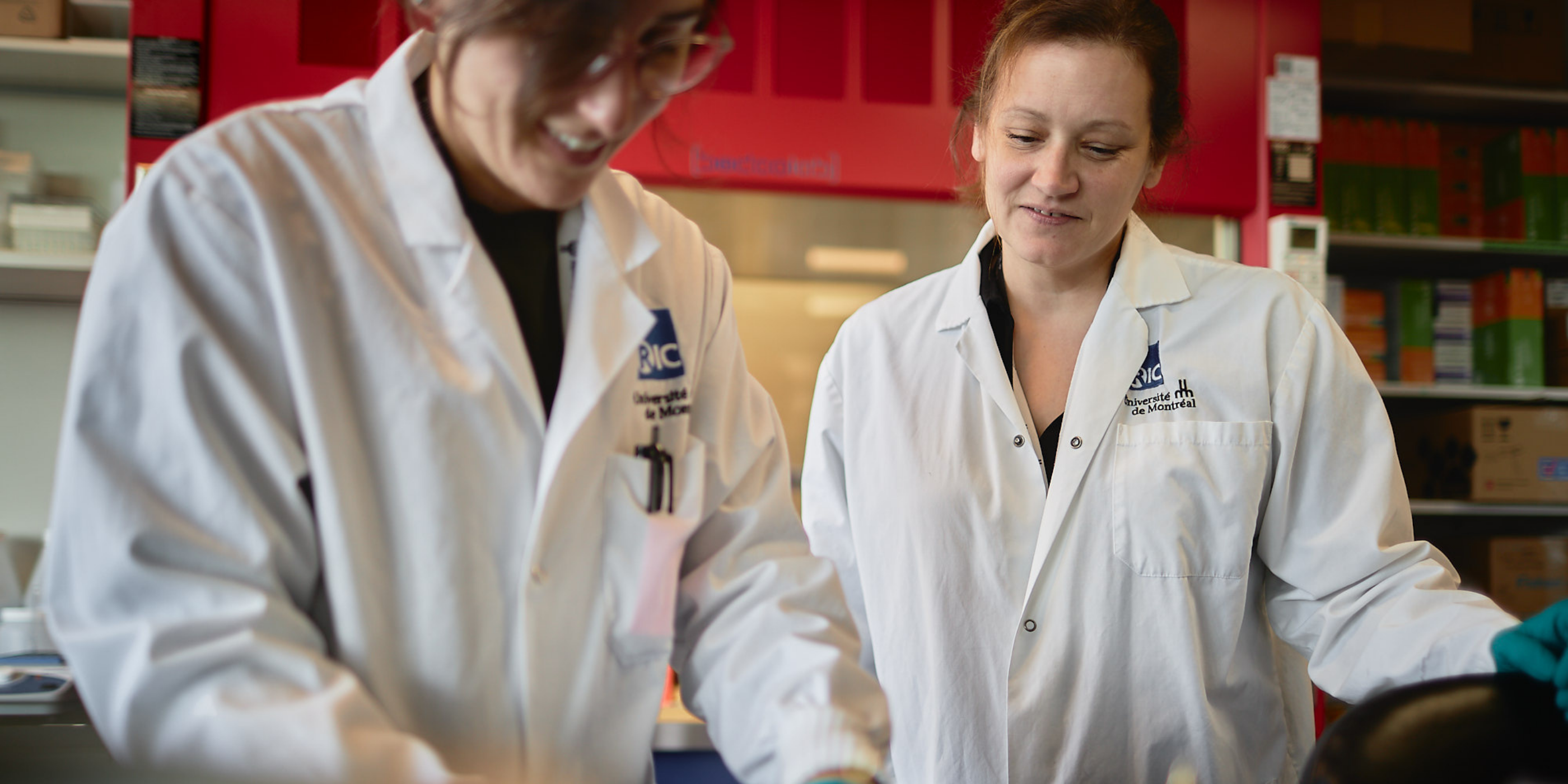 Study at IRIC | IRIC - Institute for Research in Immunology and Cancer