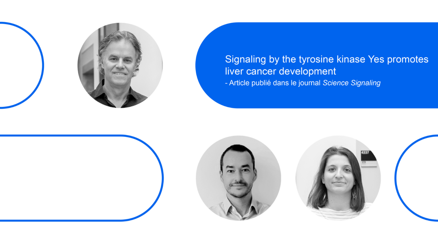 Home | IRIC - Institute for Research in Immunology and Cancer