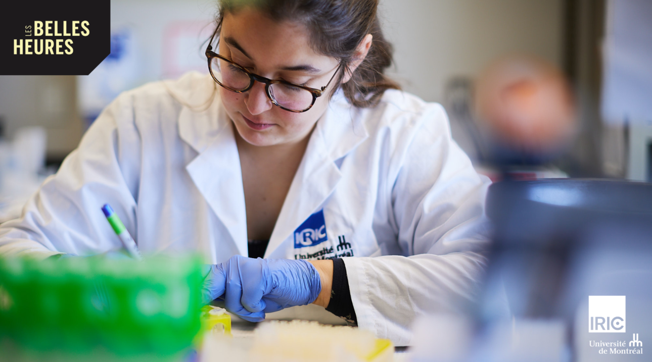 IRIC celebrates its 20 years of existence | IRIC - Institute for ...