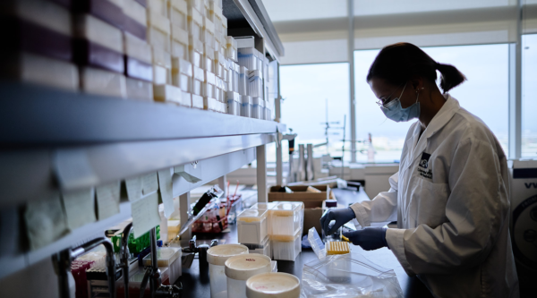 Home | IRIC - Institute for Research in Immunology and Cancer