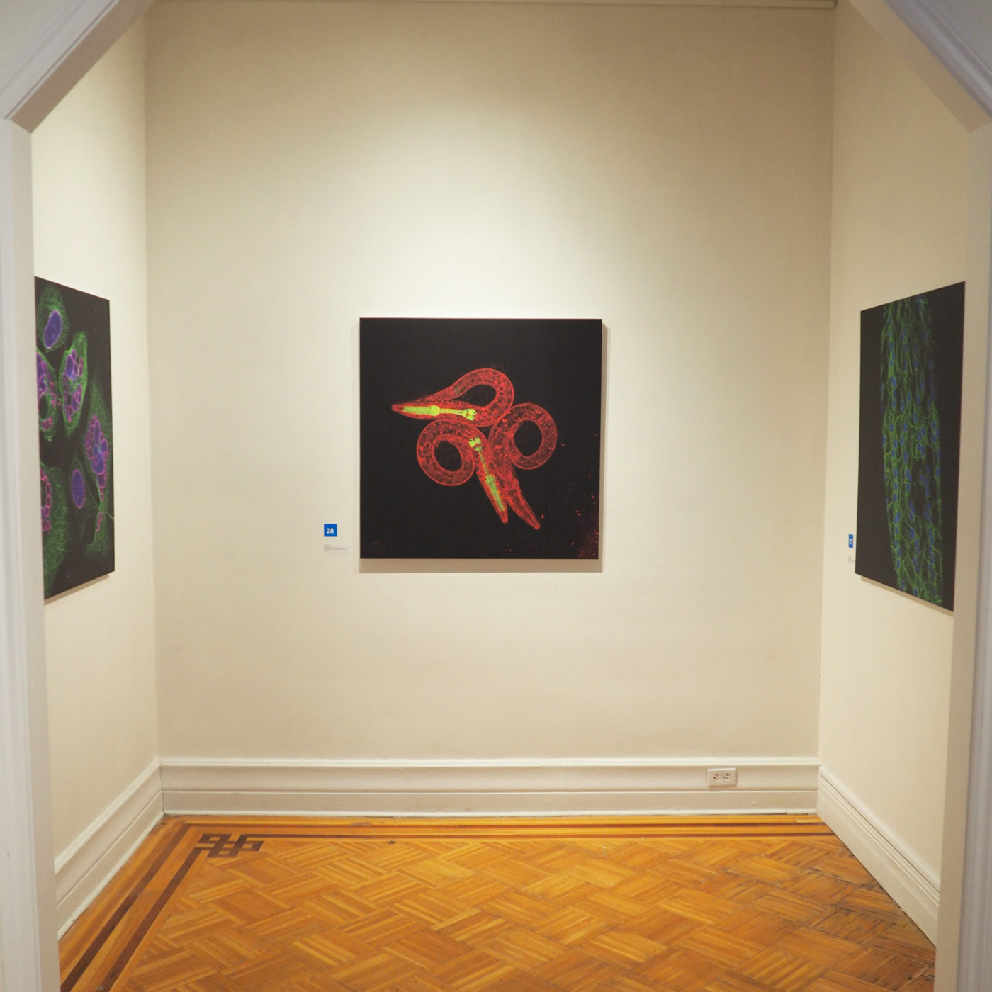 A look back at IRIC’s 20th anniversary: A year of celebration! | IRIC ...