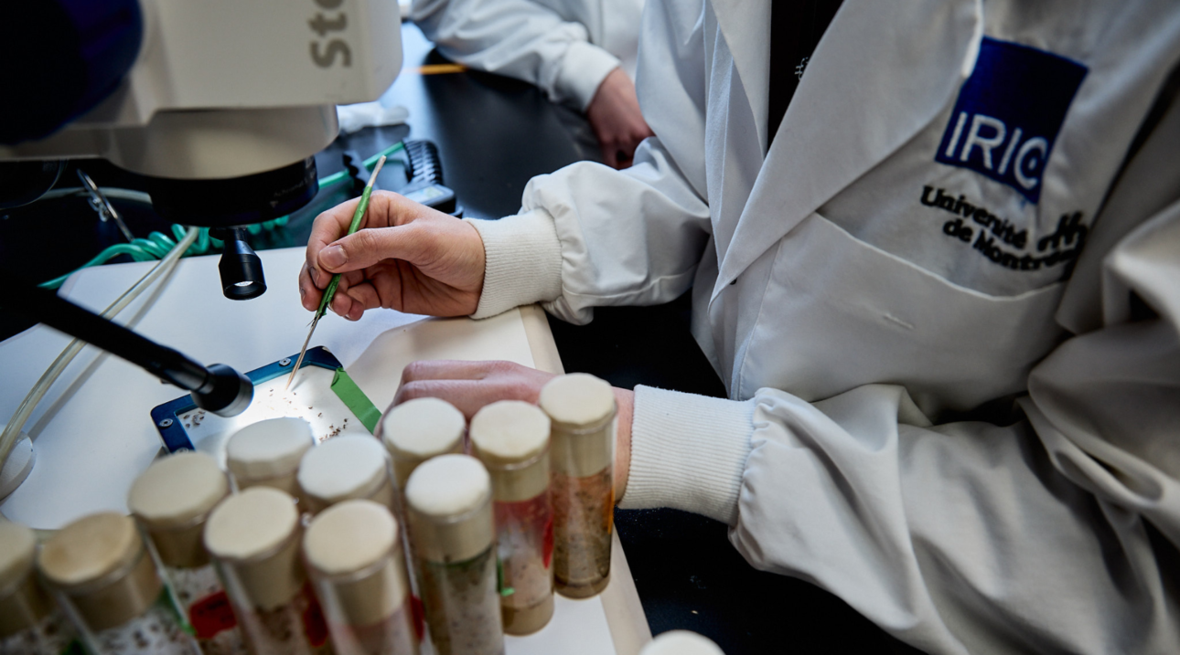 Home | IRIC - Institute for Research in Immunology and Cancer